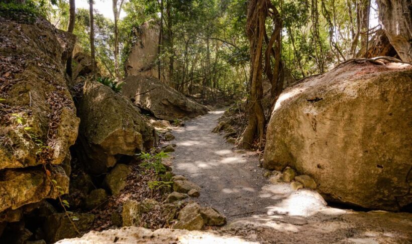 Capricorn Caves, Australia: 45-Minute Cathedral Cave Tour - The Experience in Detail: A Closer Look