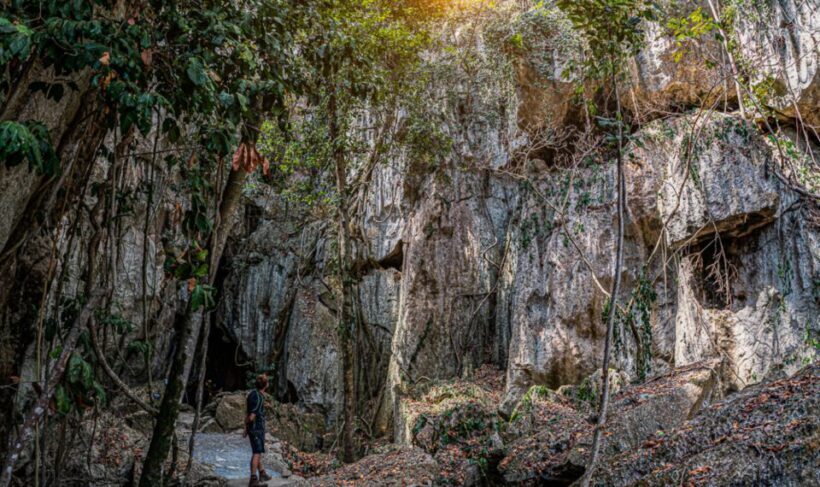 Capricorn Caves, Australia: 45-Minute Cathedral Cave Tour - Who Should Consider This Tour?