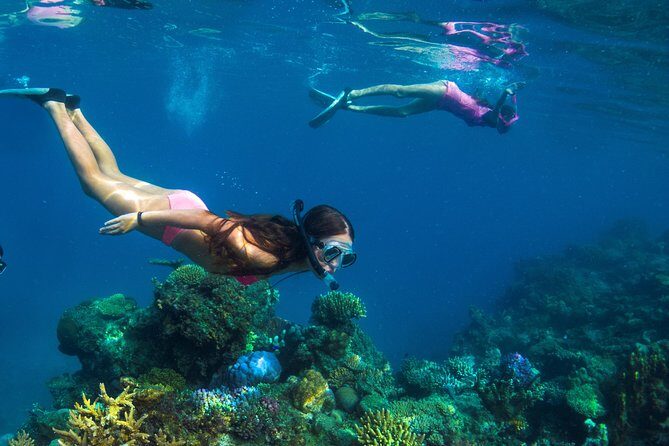 Capt Cook Cruises Super Saver Combo: Day Sail + Dinner Cruise - Setting the Scene: What You Can Expect