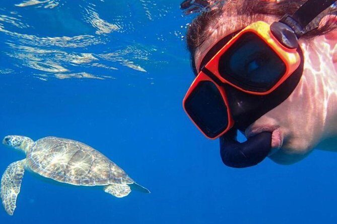 CAPTAIN ALAN'S 4hr -3 Islands-snorkeling-turtles-beach ADVENTURE - An In-Depth Look at the Experience