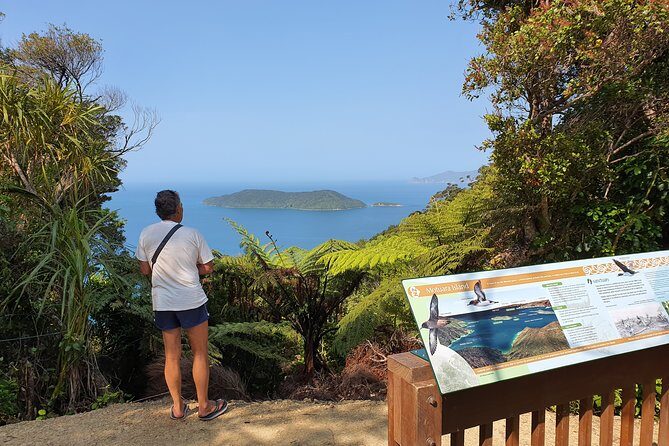 Captain Cook and Dolphin Cruise - The Sum Up