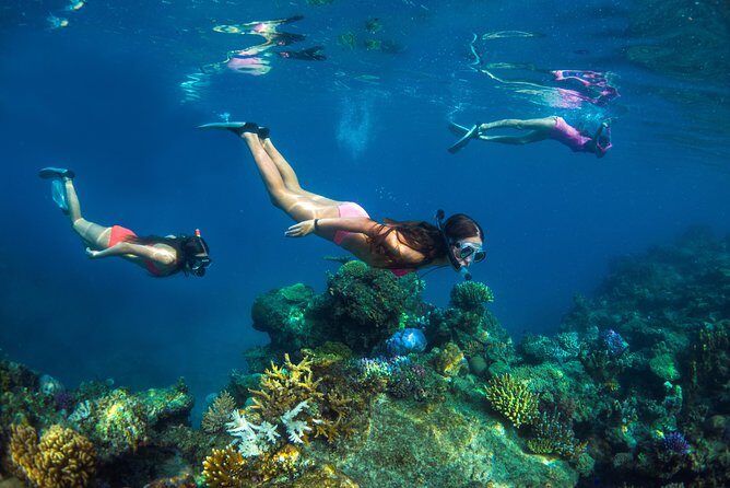 Captain Cook Cruises Fiji - Island and Reef Day Cruise - An Overview of the Experience