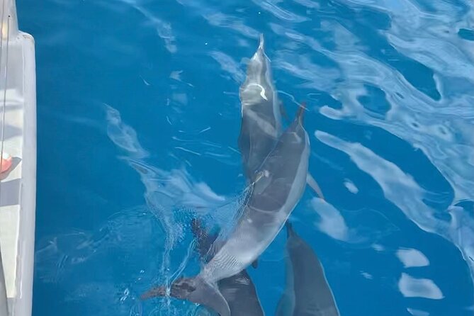 Captain Cook Reef Snorkeling of Kealakekua Bay - Health and Safety Guidelines