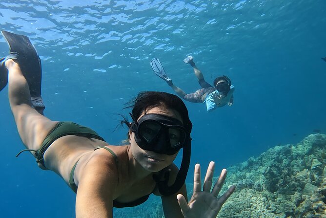 Captain Cook Reef Snorkeling of Kealakekua Bay - Customer Feedback and Highlights