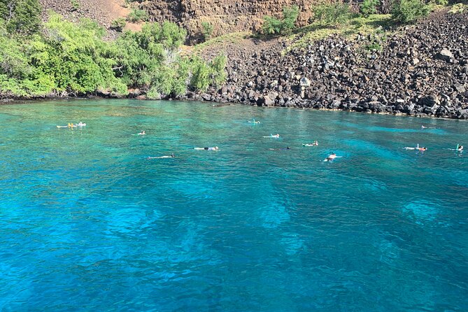 Captain Cook Reef Snorkeling of Kealakekua Bay - Booking and Pricing Information