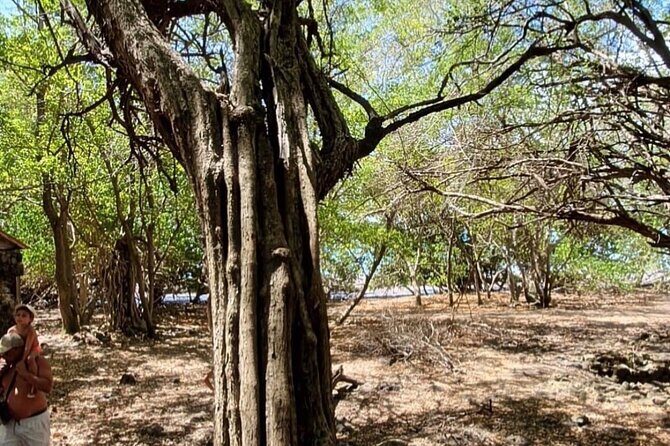 Captainmanou water excursions - FAQs