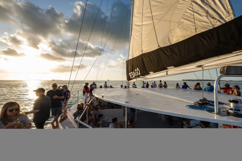 Captain's Choice: Dolphin Watch Sunset Sail - Final Thoughts