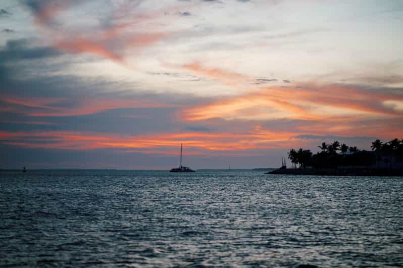 Captain's Choice: Dolphin Watch Sunset Sail - The Experience on Board: Comfort and Authenticity