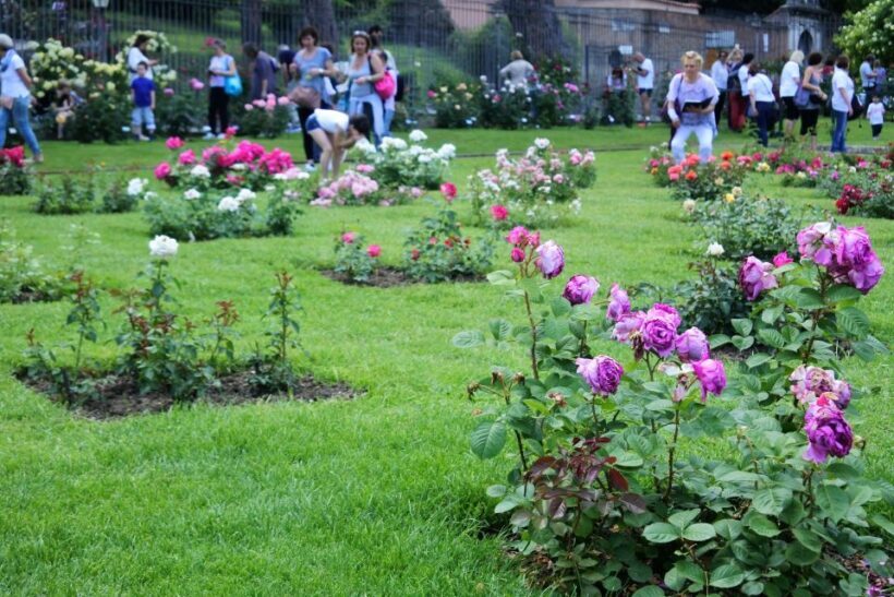 Captivating Pearls of Rome Family Walking Tour - Introduction