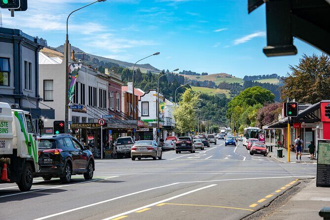 Captivating Side of Dunedin Private Walking Tour for Couples - Frequently Asked Questions