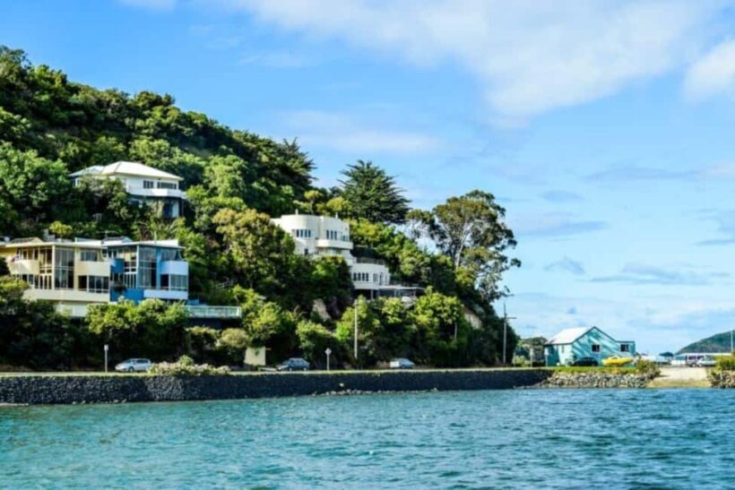 Captivating Side of Dunedin Walking Tour for Couples - Who Should Consider This Tour?