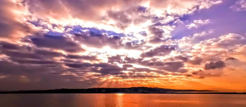 Capture LA's Coastal Magic-Wildlife, Marina Photography Tour - An In-Depth Look at the Experience