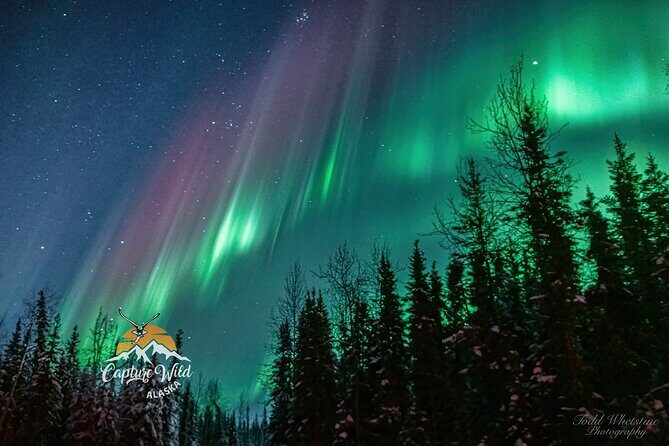 Capturing the Ethereal Beauty: Northern Lights Photo Workshop - An Intimate, Tailored Aurora Photography Experience