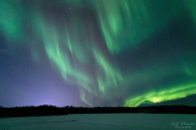 Capturing the Ethereal Beauty: Northern Lights Photo Workshop - Who Should Consider This Experience?