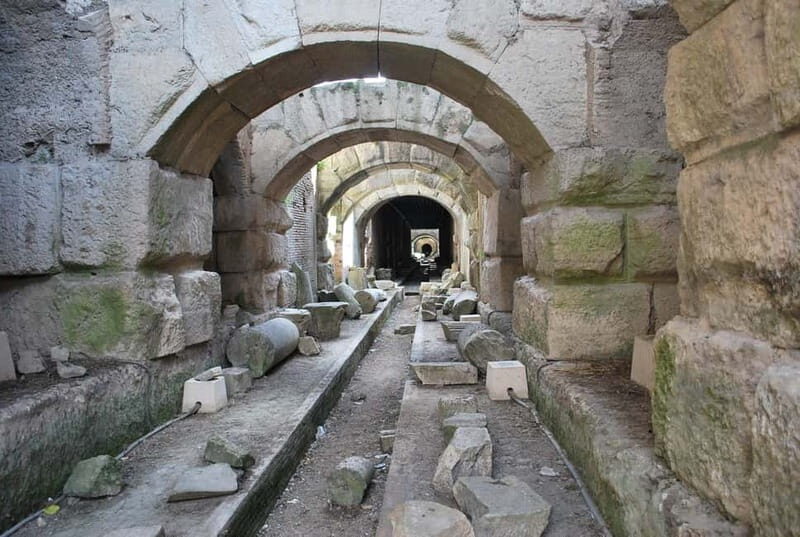 Capua: The Spartacus Arena and Gladiator Museum Tour - Practical Aspects and Value
