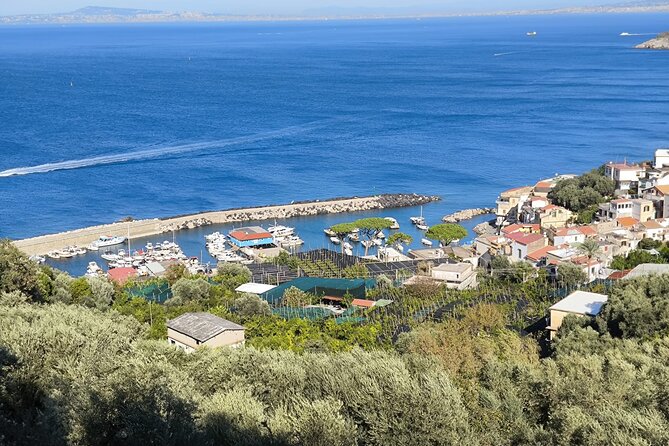 Car Tour admiring Capri and visiting Positano and Amalfi - What Do the Reviews Say?