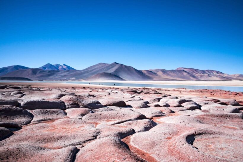 Caracoles: Red Stones of Atacama and Chaxa Guided Day Trip - Transportation and Group Size