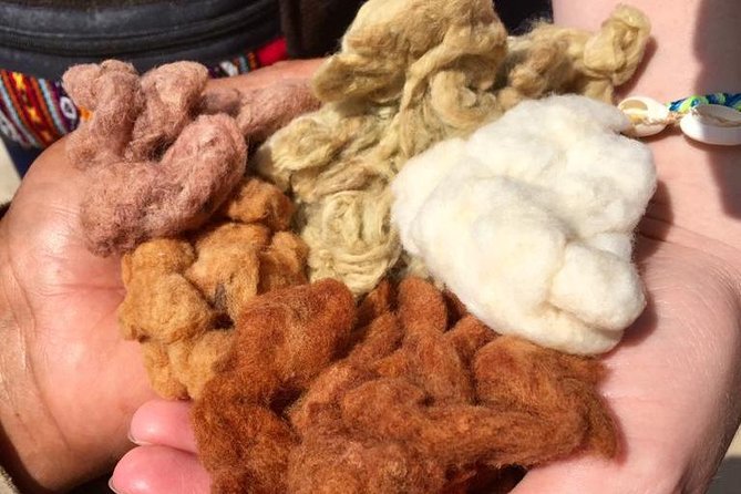 Caral, the Oldest Civilization of America: Full-Day Tour From Lima - Accessibility and Suitability for Travelers