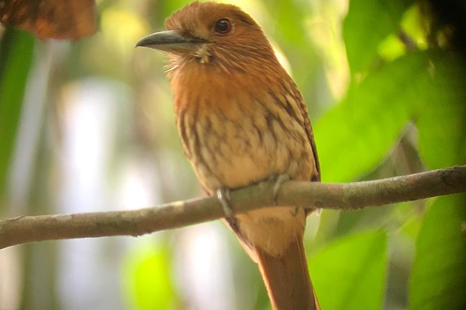 Carara National Park Tour - Location and Meeting Details