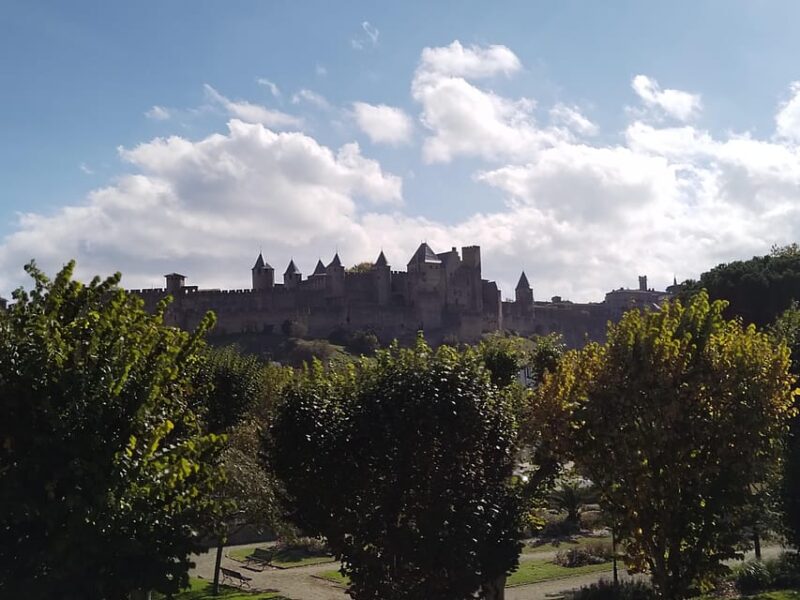 Carcassonne: Private Guided Tour with Castle Entry Ticket - Key Points