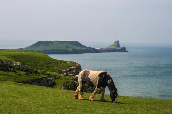 Cardiff: Gower Peninsula's Cliffs & Bays Scenic Day Tour - What Reviewers Are Saying