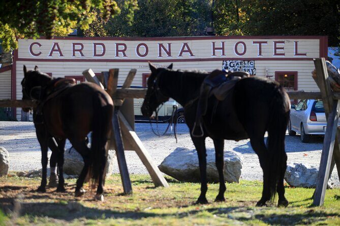 Cardrona High Country Pub Trail Horse Riding Trek (Intermediate+) - Key Points