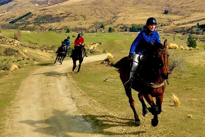 Cardrona High Country Pub Trail Horse Riding Trek (Intermediate+) - Who Would Love This Tour?