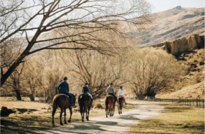 Cardrona Valley: Horse Trekking Experience - An Authentic Horseback Journey in the Cardrona Valley