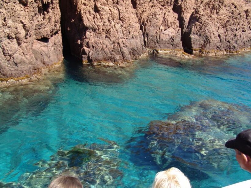 Cargèse:Scandola/Piana/Stop in Girolata Half-Day on RIB boat - Practical Tips