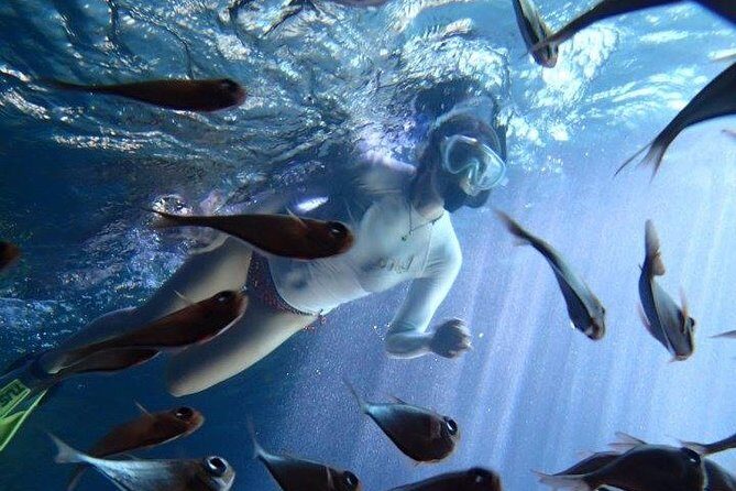 Caribbean Blue Charters - Full Day Boat Charter - 35' Marlin Power Boat - Who Will Love This Experience?