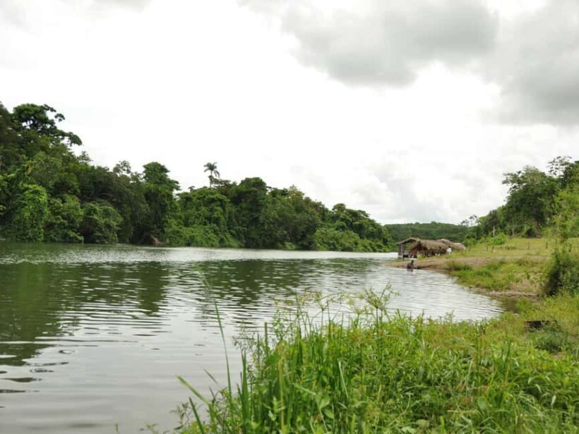 Caribbean Buggy Escape  Bayahibe Jungle & Safari - In The Sum Up