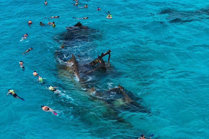 Caribbean Star Snorkeling Tour - What You Can Expect from the Caribbean Star Snorkeling Tour