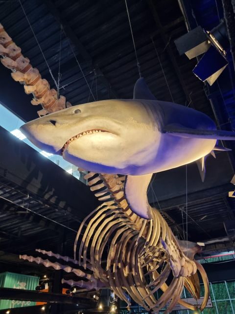 Cariocando at AquaRio & Olympic's Boulevard - An In-Depth Look at the Cariocando Tour