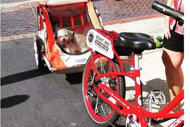 Carlsbad 3-Hour Electric Bike Rental - Authentic Reviews and Real Experiences