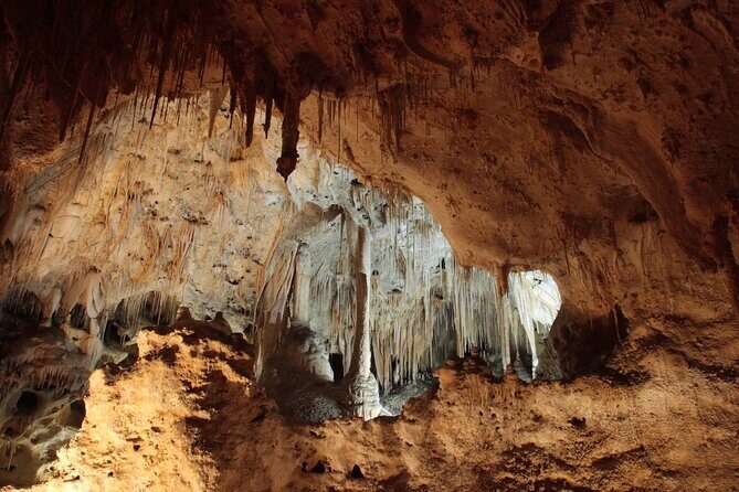 Carlsbad Caverns Self-Guided Walking Tour (Not a ticket) - What the Tour Offers: A Detailed Breakdown
