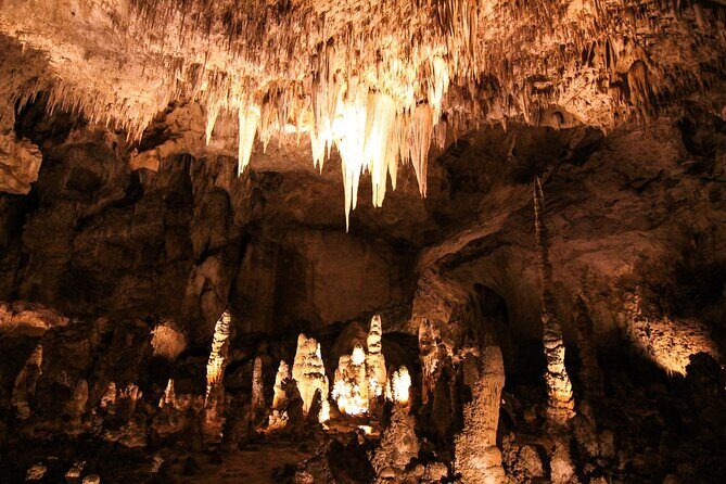 Carlsbad Caverns Self-Guided Walking Tour (Not a ticket) - The Sum Up: Is It for You?