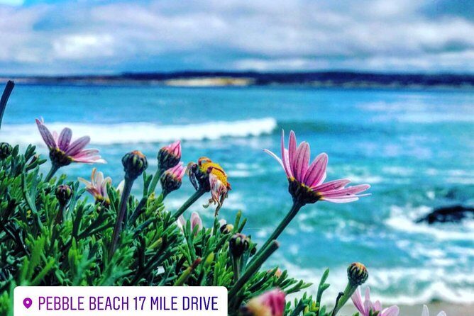 Carmel / Monterey Hwy 1 tour - Price and Value