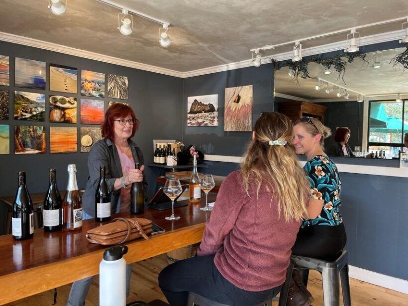 Carmel Valley Village: Wine Tasting Tours in a 1970 VW bus. - Authentic Feedback from Past Travelers