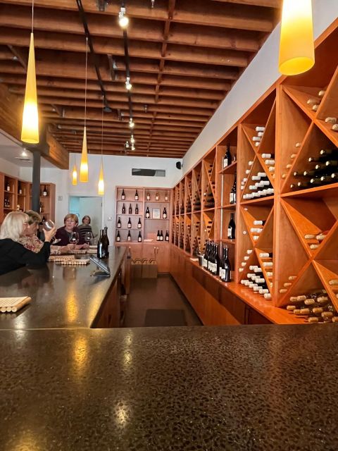 Carmel Valley Village: Wine Tasting Tours in a 1970 VW bus. - Who should consider this tour?
