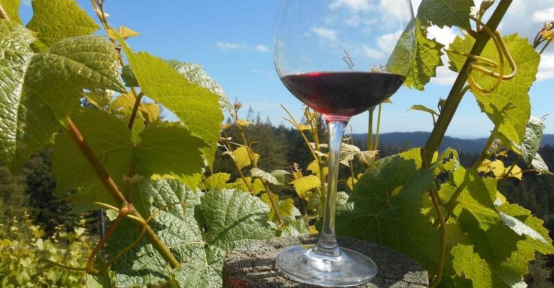 Carmel Valley Wine Tasting Tour - The Itinerary: What to Expect from Start to Finish