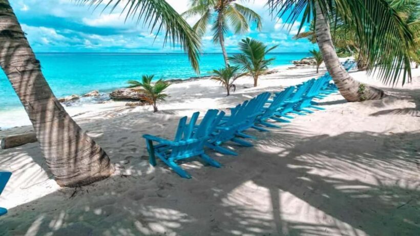 Carnevial Shore Excursion: Saona Island with Speedboat Ride - A Closer Look at the Tour Experience