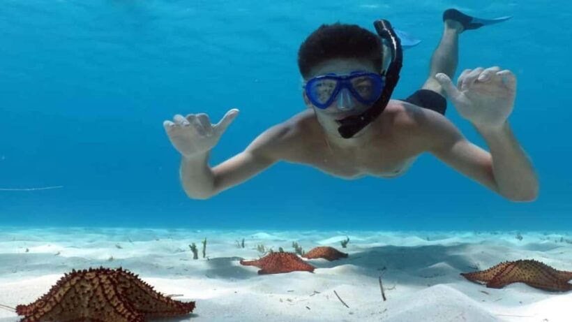 Carnevial Shore Excursion: Saona Island with Speedboat Ride - Final Thoughts