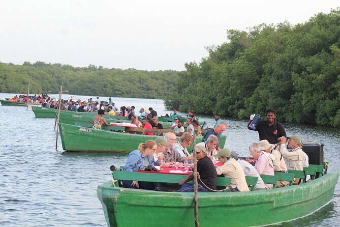 Caroni Bird Sanctuary Tour - The Pros and Cons