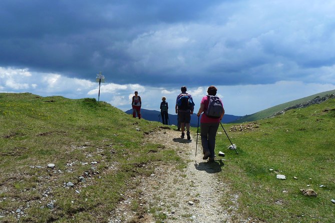 Carpathians in Romania: Bucegi Natural Park With Native Spanish Guide. - Highlights of Bucegi Natural Park