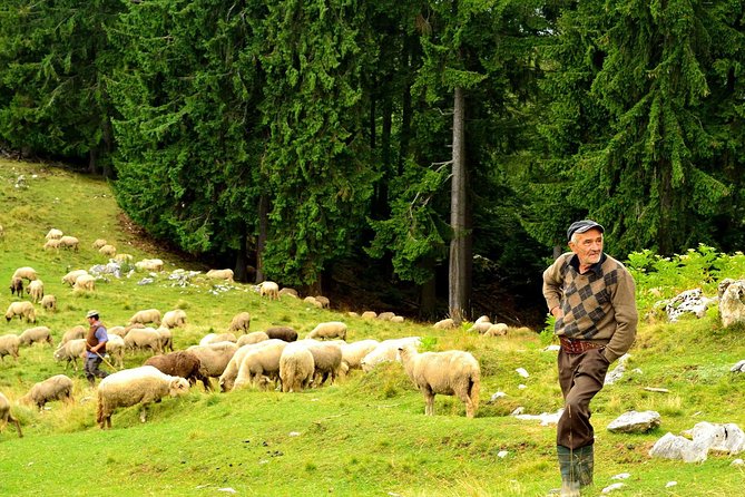 Carpathians in Romania: Piatra Craiului National Park with native Spanish guide. - FAQ