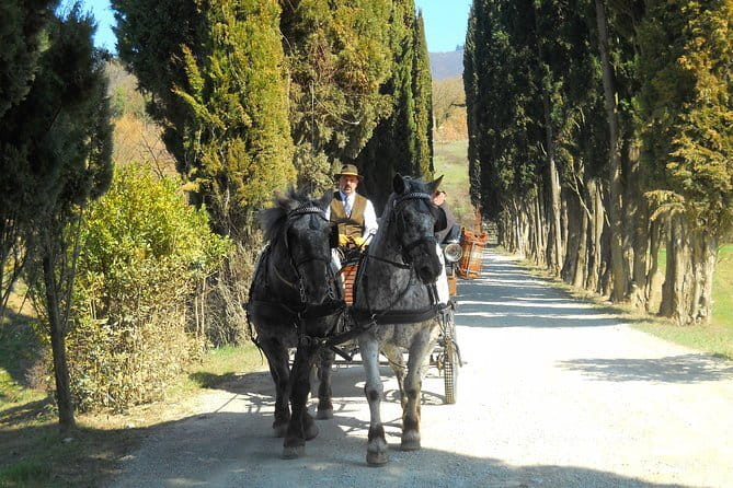 Carriage ride and Lunch in a typical restaurant in the heart of Chianti - The Sum Up