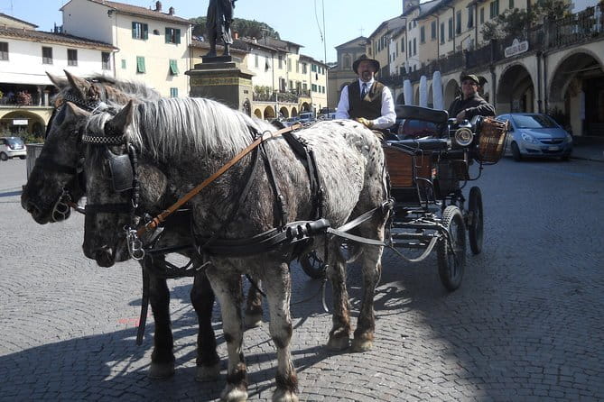 Carriage ride and Lunch in a typical restaurant in the heart of Chianti - Who Will Love This Tour?