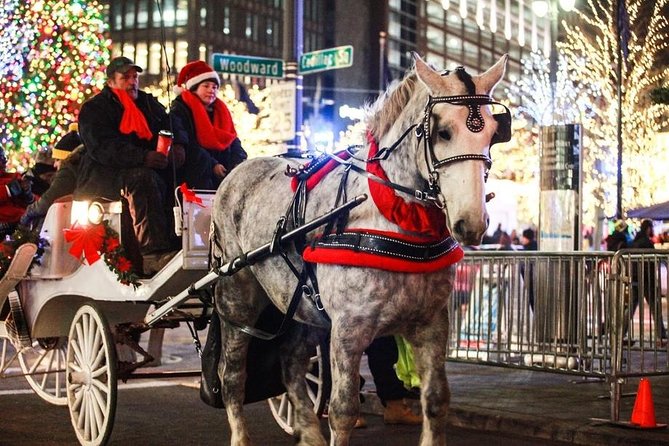 Carriage Ride in Central Park (VIP - PRIVATE) Since 1964™ - Who Will Love This Tour?
