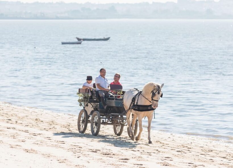 CARRIAGE Ride On The Beach (Rosário Beach) - The Experience – Pros and Cons
