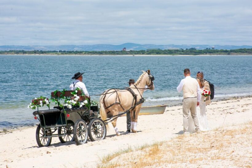 CARRIAGE Ride On The Beach (Rosário Beach) - Why This Tour Offers Good Value
